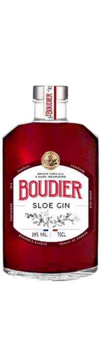 Gabriel Boudier Sloe Gin 700ml Spirits | Gabriel | Advintage